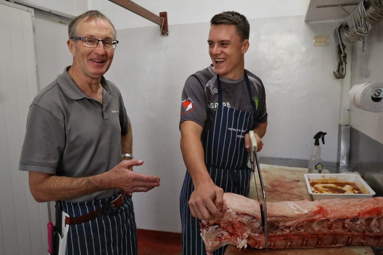 Learning the tricks of the trade through a NSW school-based ...