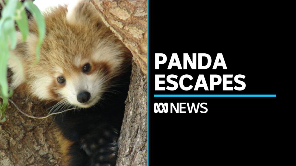 Japan - Location - ABC News