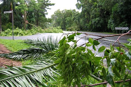 Authorities assess massive cyclone damage - ABC News