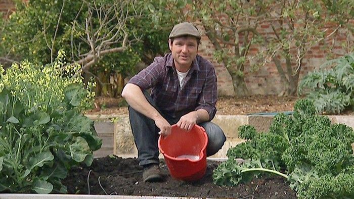 Adding Calcium - Gardening Australia