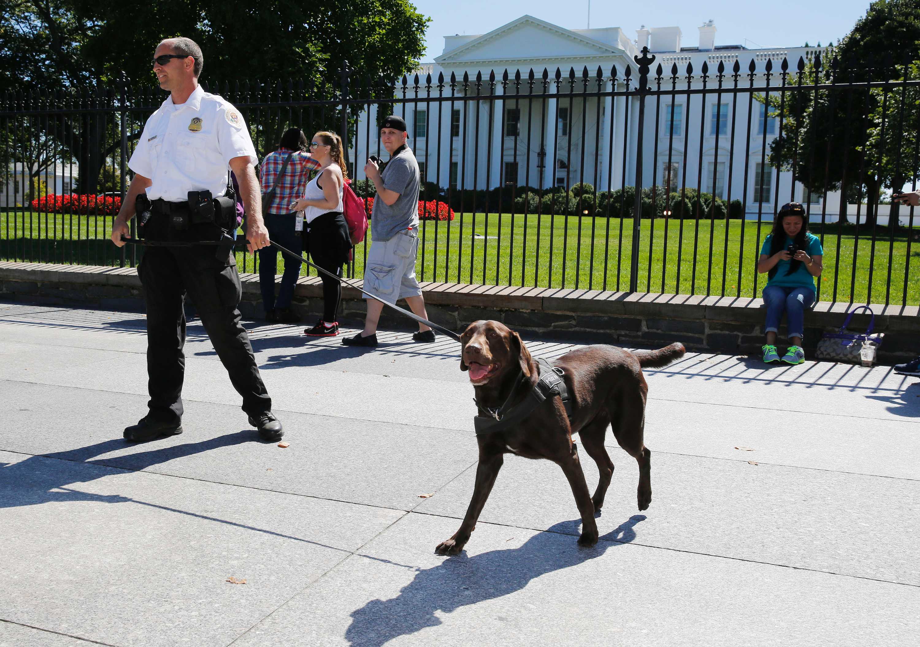 White House fence jumper attacked by Secret Service dogs before arrest ...