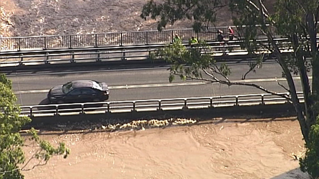 Heavy rain causes flooding in the Logan and Albert Rivers - ABC News