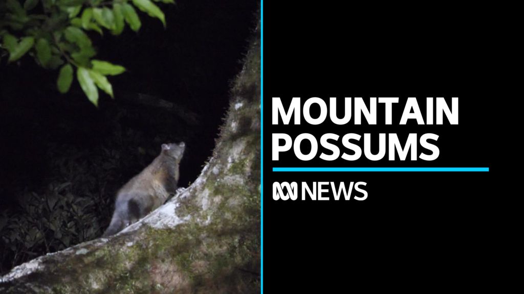 Global Warming - Topic - ABC News