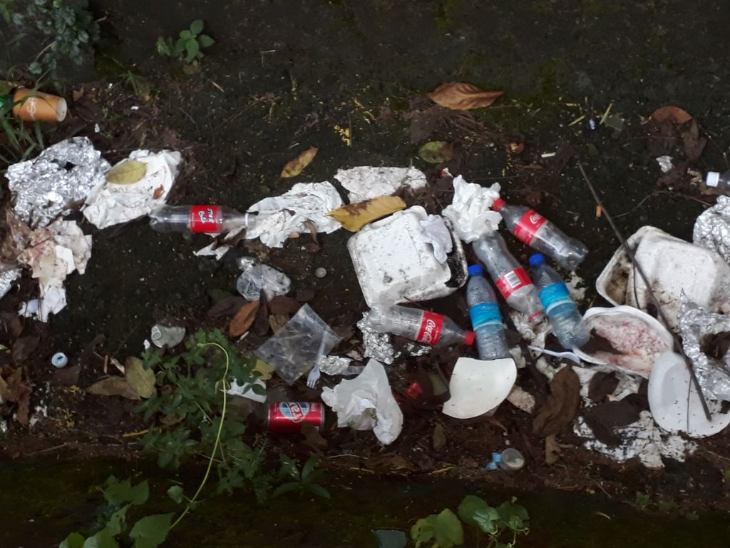 Conservationists in Samoa warn of litter increase with Coca Cola's ...