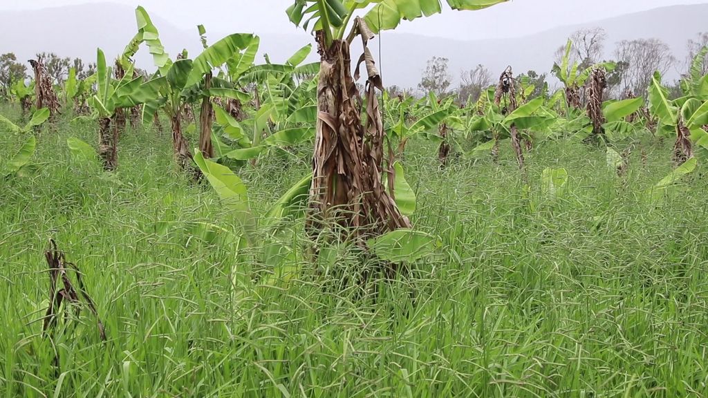 Highs and Lows: Unforeseen challenges for the Rural Woman of the Year ...