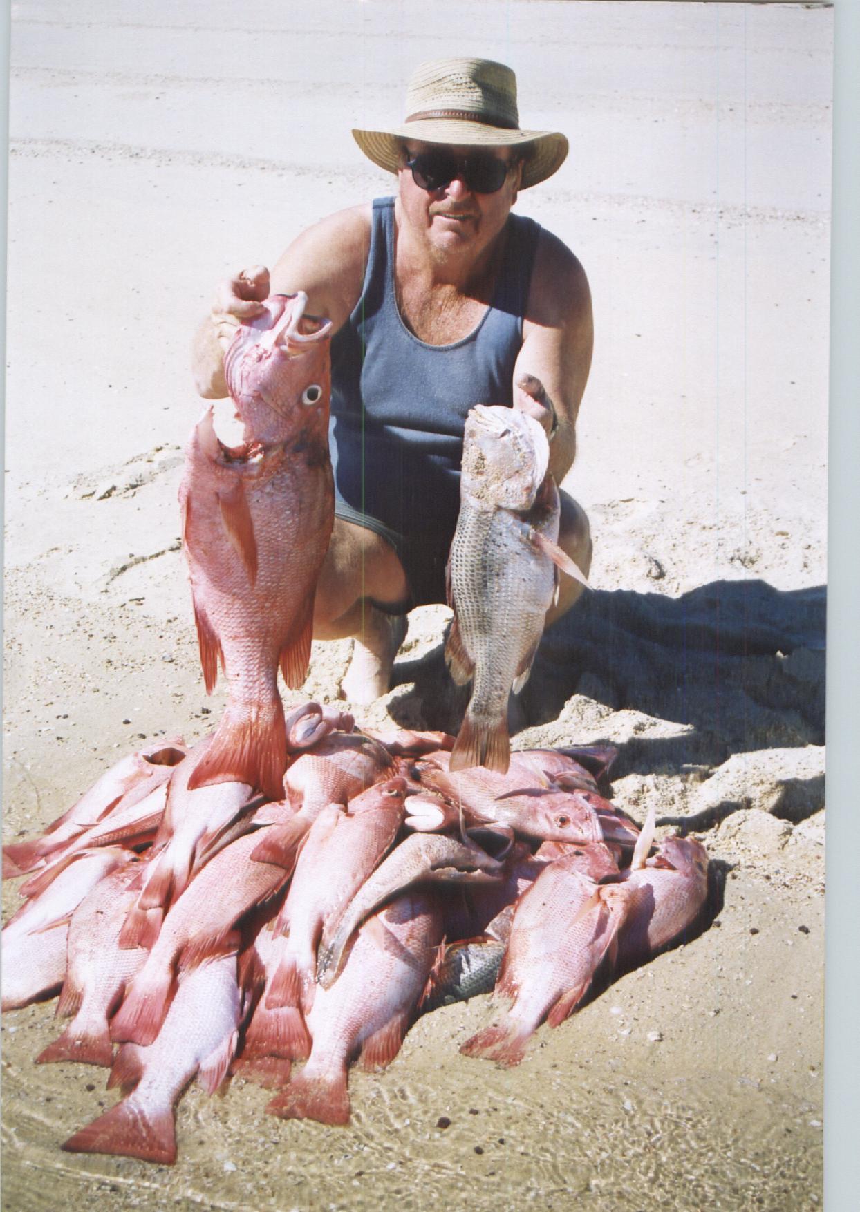 Residents questioned in murder investigation - ABC News