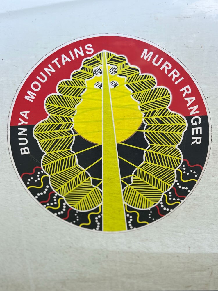 Costa's Corner | 25th August 2023 - Gardening Australia