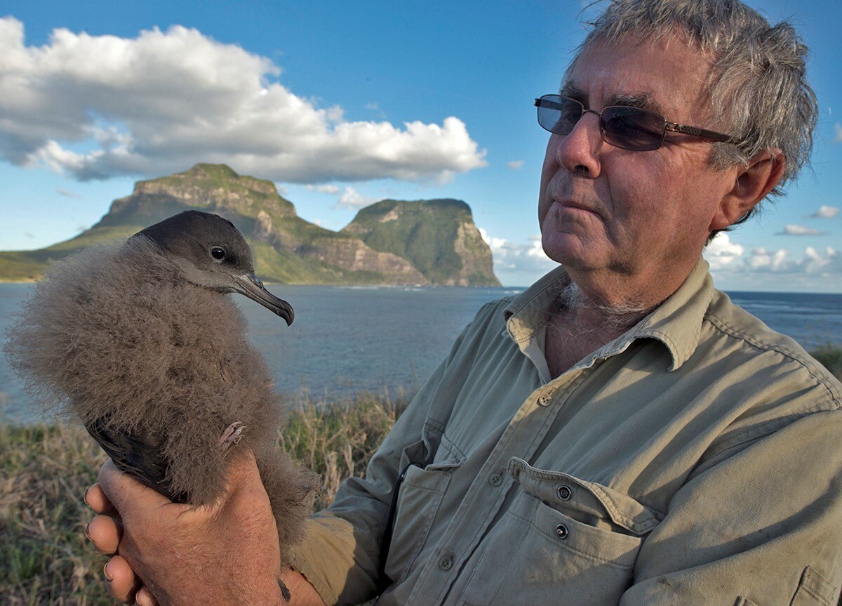 Cloud forest thrives on World Heritage-listed Lord Howe Island after ...