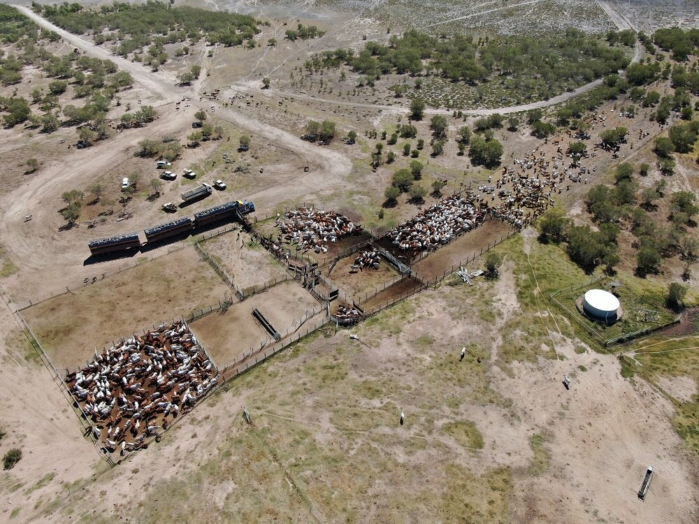 How Indigenous owned and run Roebuck Plains Station is changing lives ...
