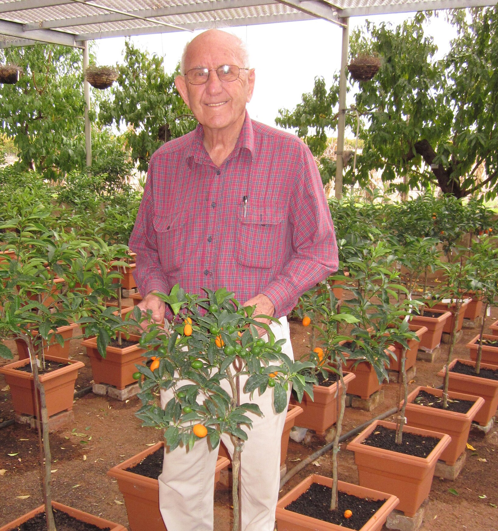Talkback Gardening with Deb Tribe and Sophie Thomson - ABC listen