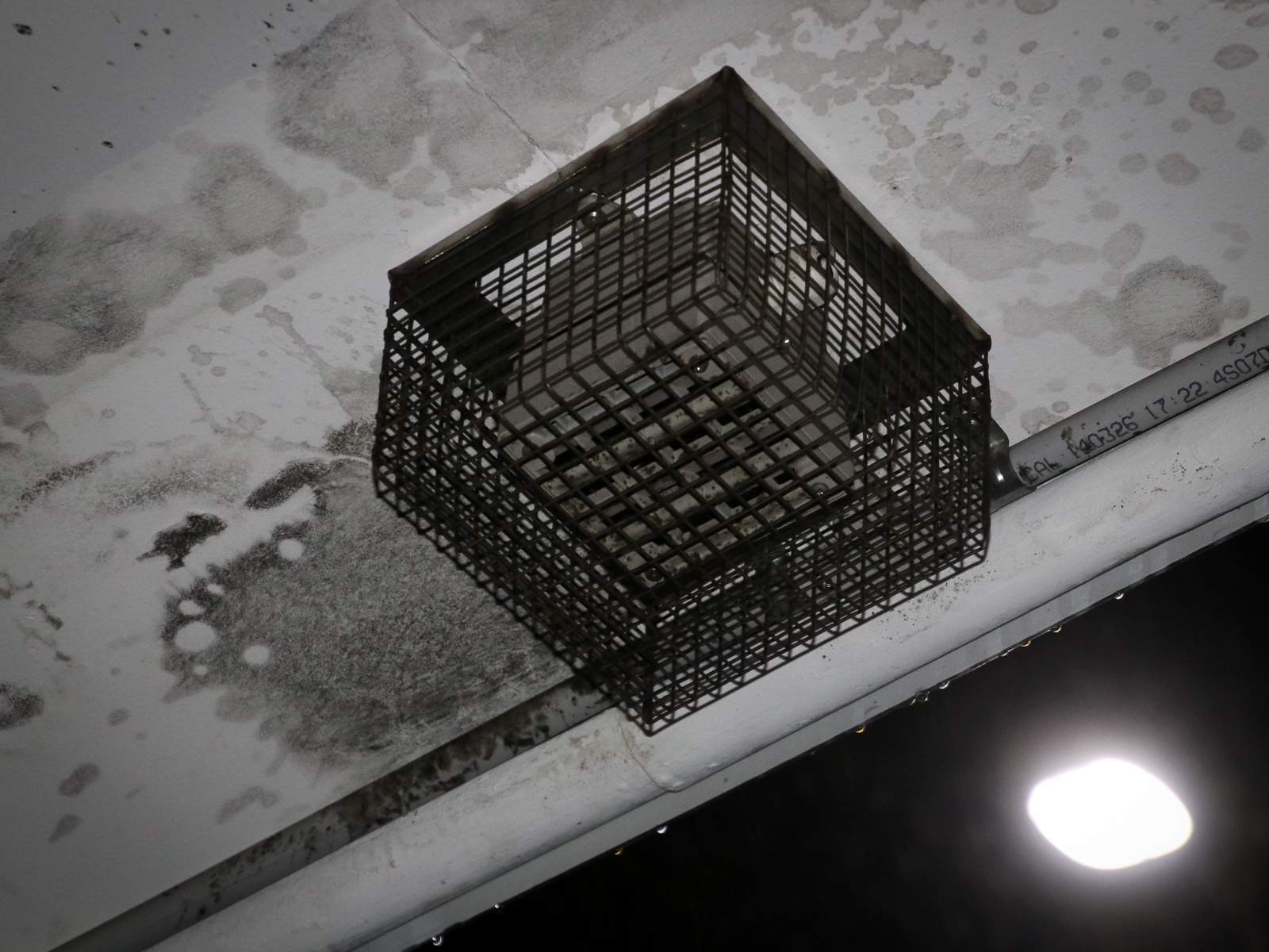 Shops in Cairns are using a sound-emitting device to deter potential ...