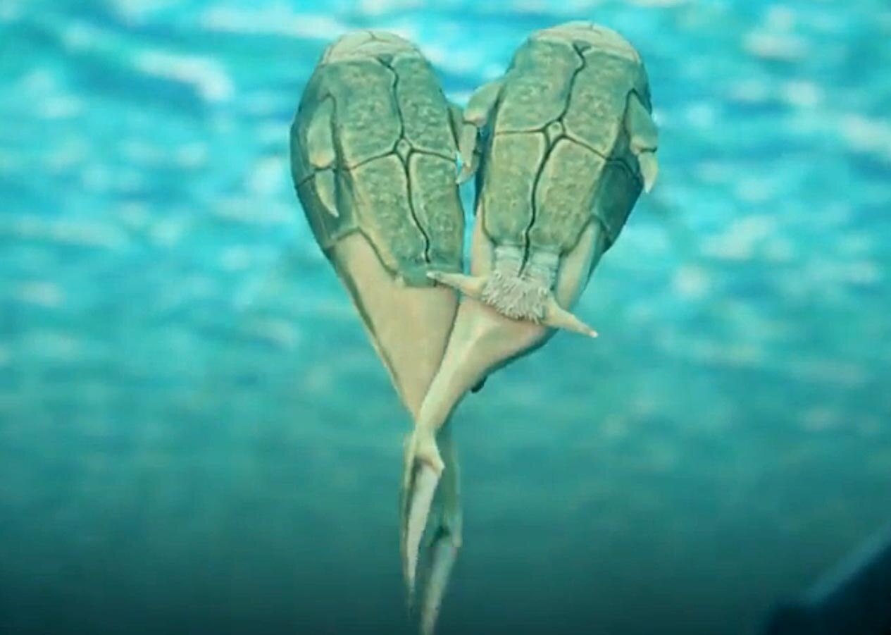 Humans owe joy of sex to ancient fossilised Scottish fish: Australian ...