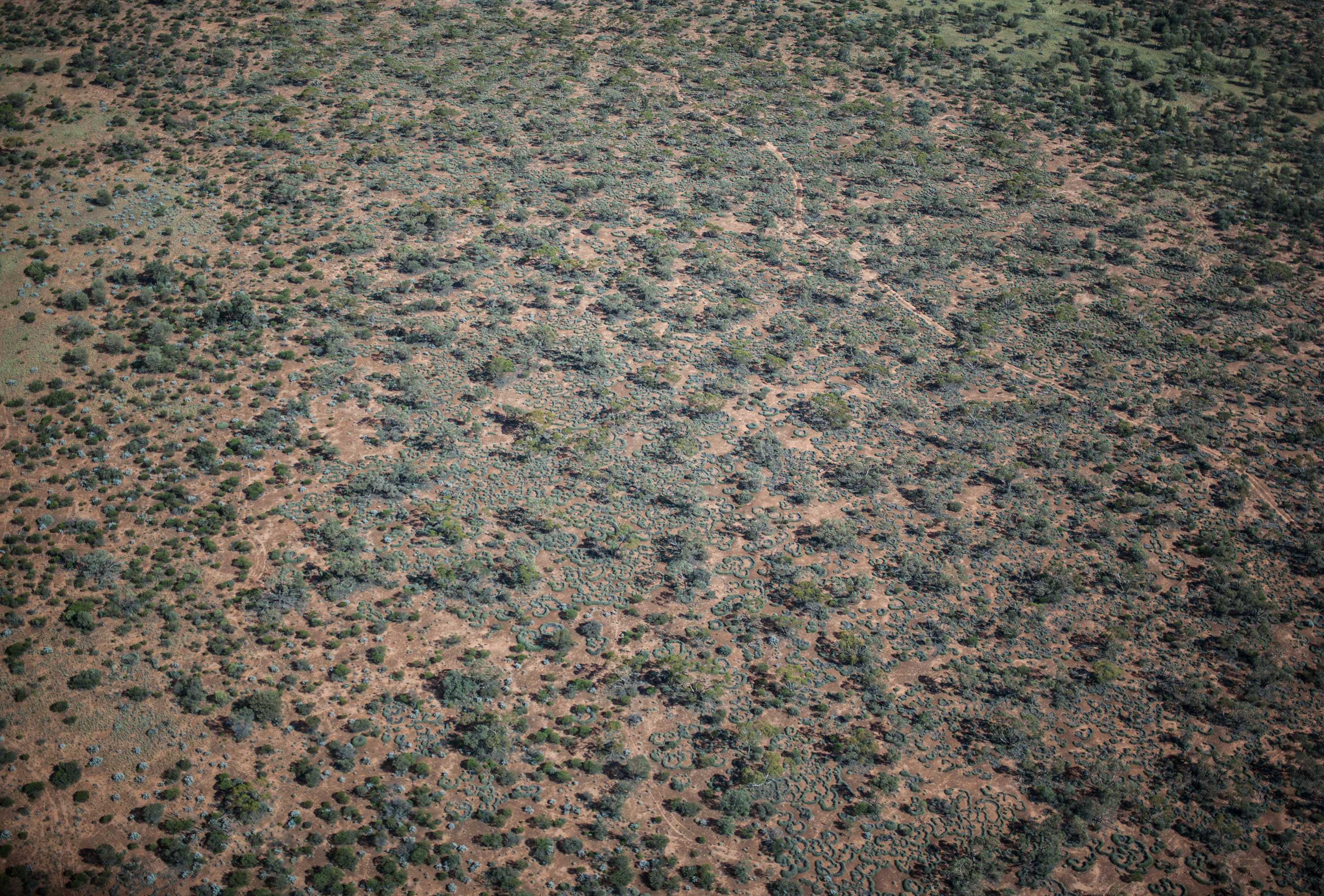 The great Australian outback flying mail service - ABC News