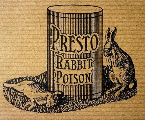 Louis Pasteur and Australia's war on rabbits - ABC listen