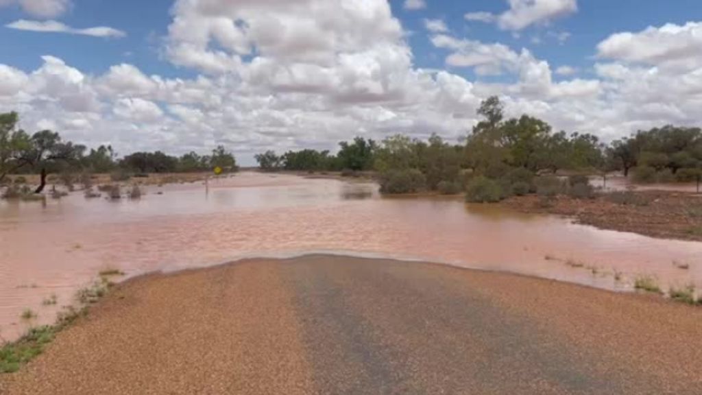 Drought-stricken outback Queensland celebrates after downpour brings ...
