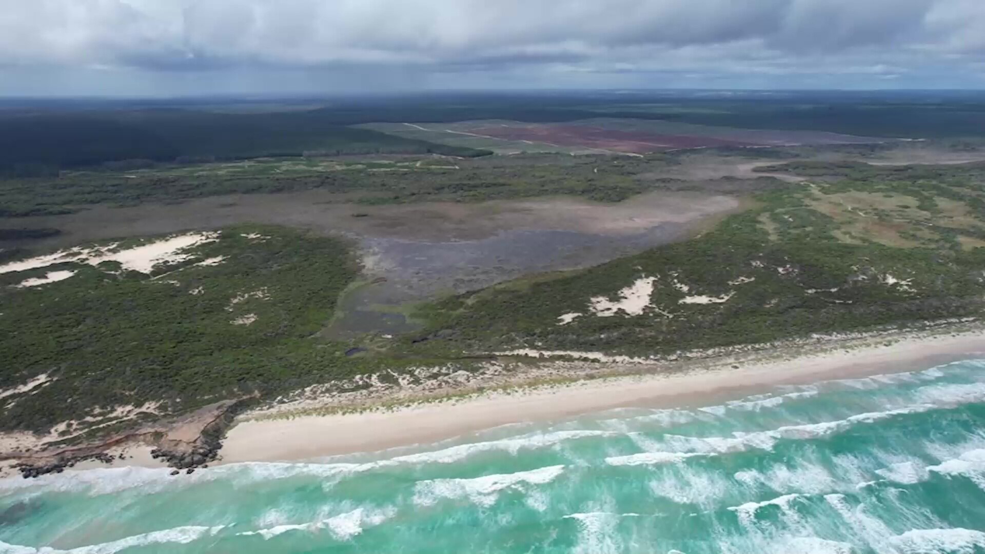Long Swamp sits between the pine plantation and the Southern Ocean ...