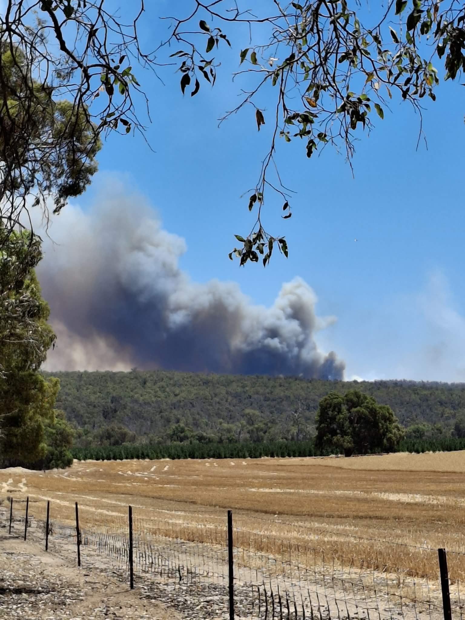 The fire flared up after midday on Christmas Day. - ABC News