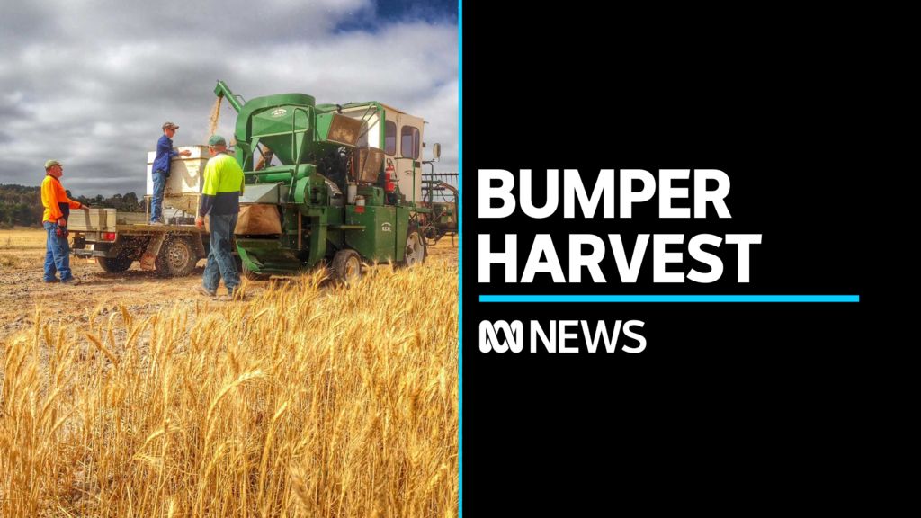 Lack of computer skills costing businesses $9 million a day - ABC News