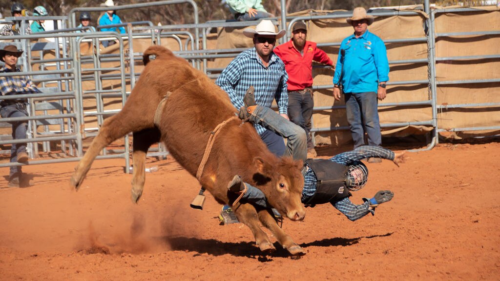 Fearless kids take on the dangerous world of rodeo - ABC News