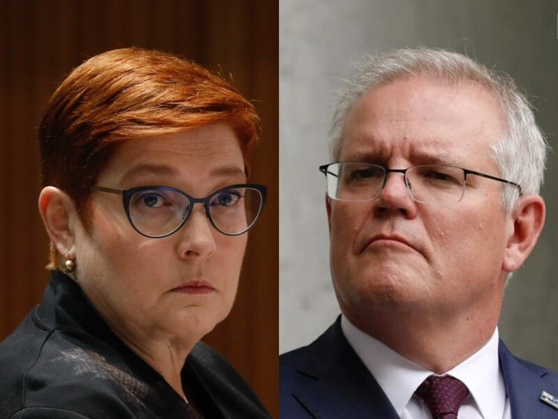 Robodebt inquiry, set to hear from Coalition members, hears Services ...