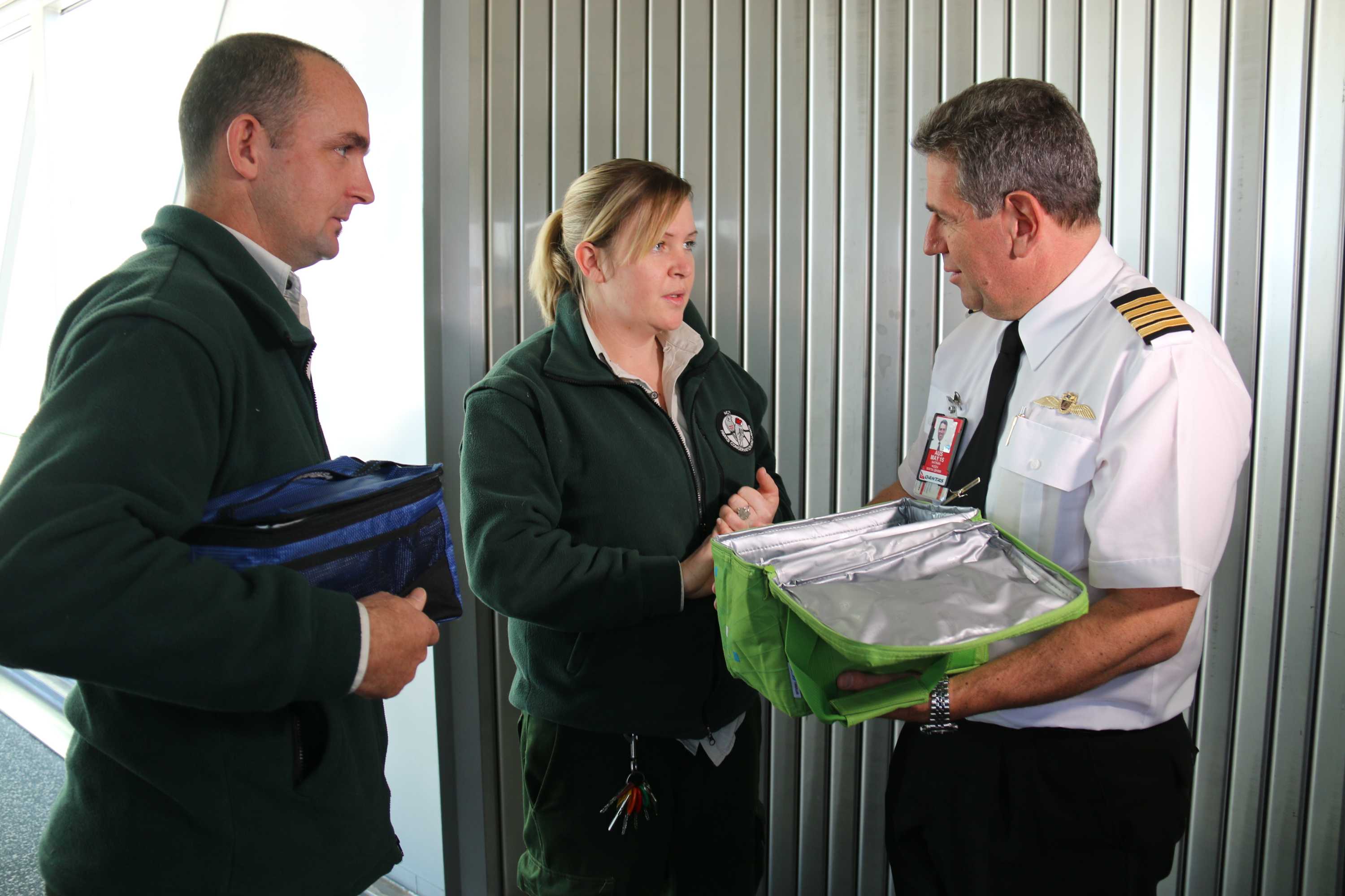 Pilot takes critically endangered southern brush-tailed rock wallaby ...