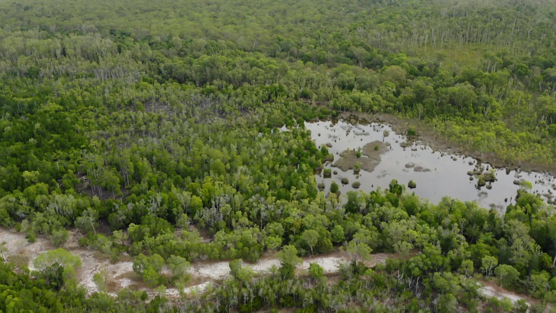 Macleay River flooding at Kempsey - ABC News