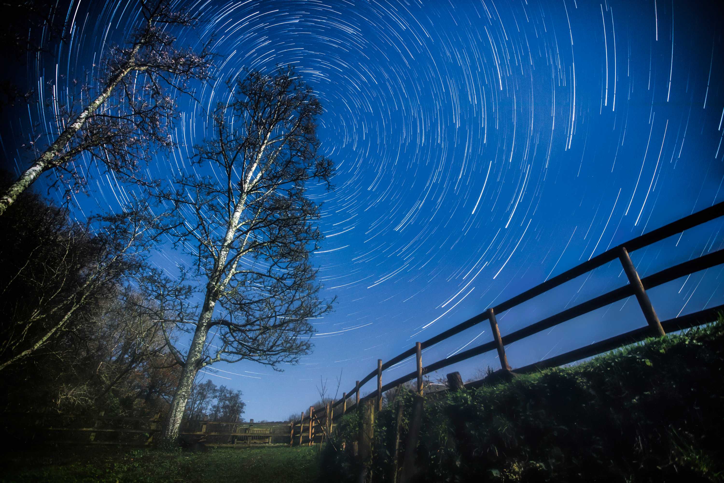 DIY Ayahuasca: Meet the Aussie dudes brewing hallucinogenic tea at home ...