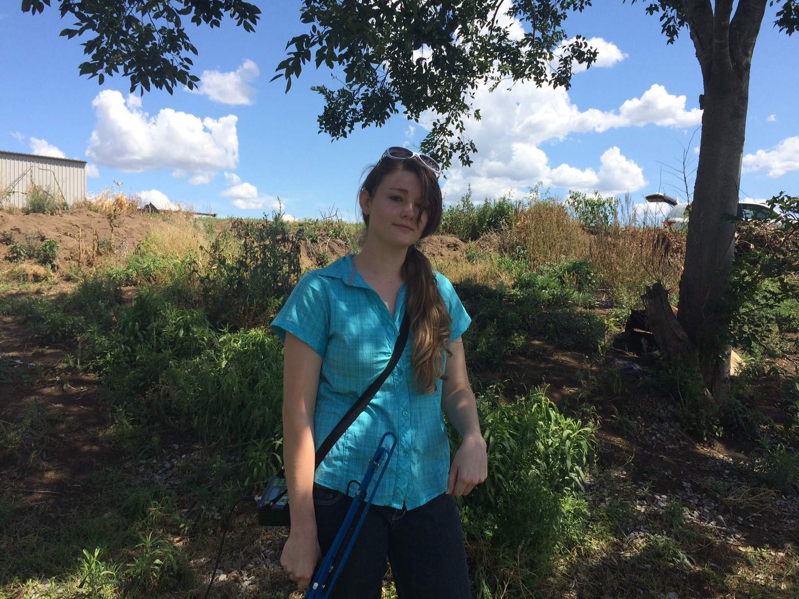 Tenthill Creek rabbit infestation could threaten Lockyer Valley ...