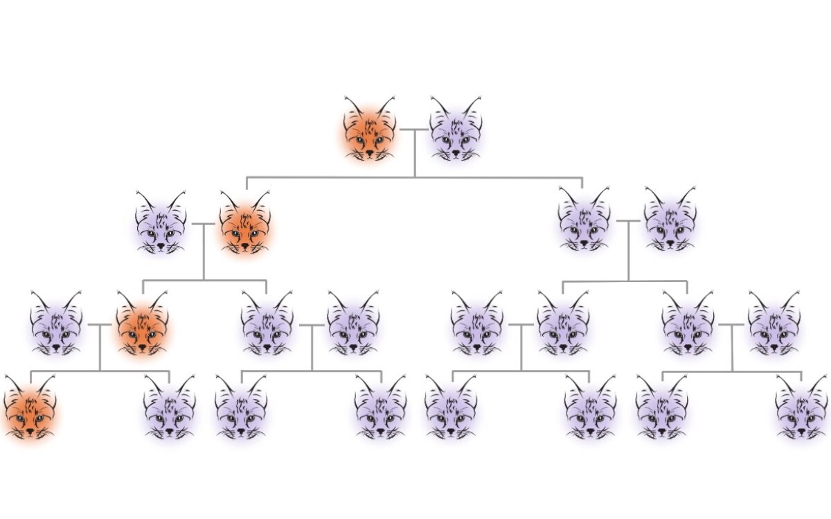 What are gene drives, and how can they help eradicate invasive species ...