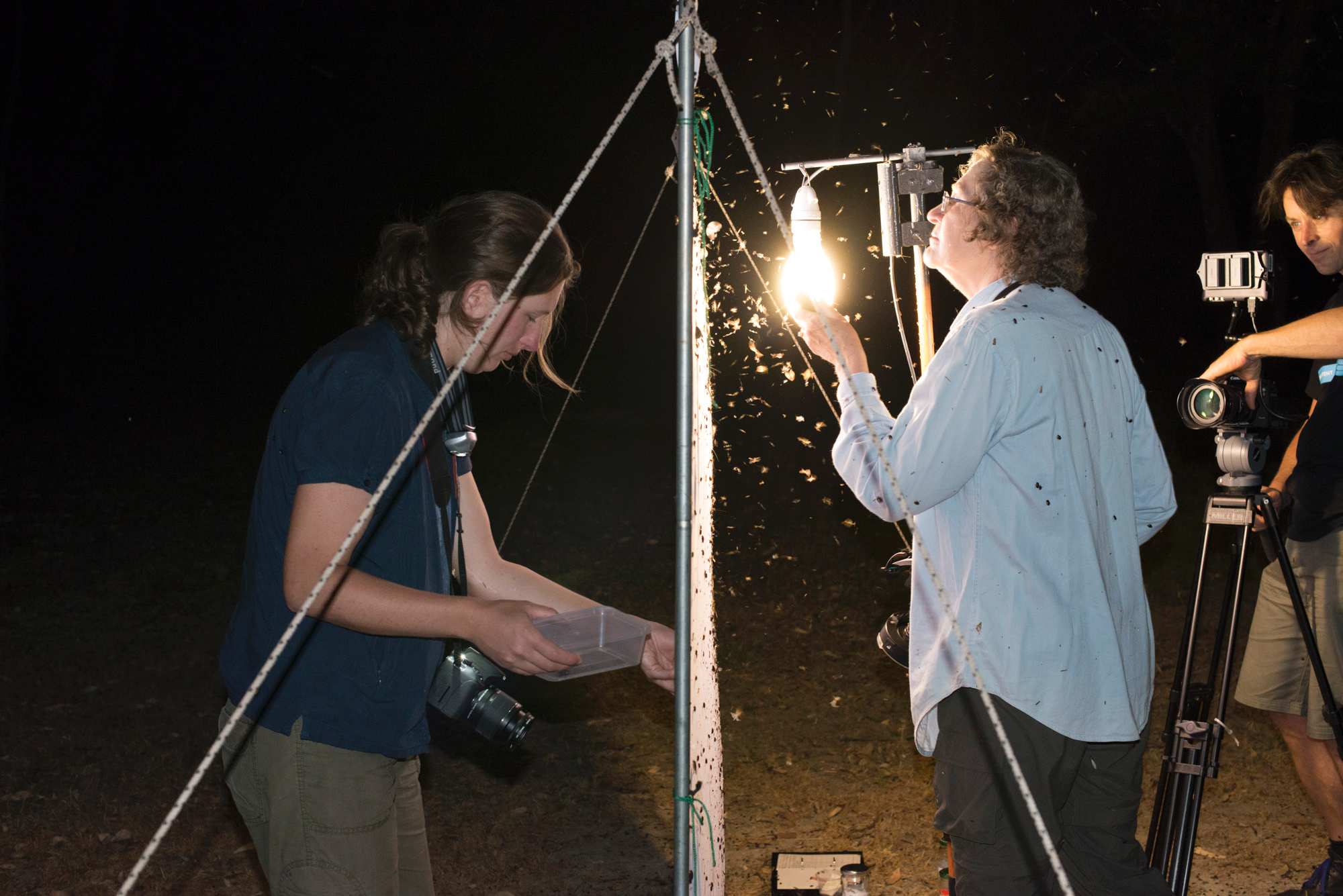 Bush blitz reveals state of critically endangered wildlife - ABC listen