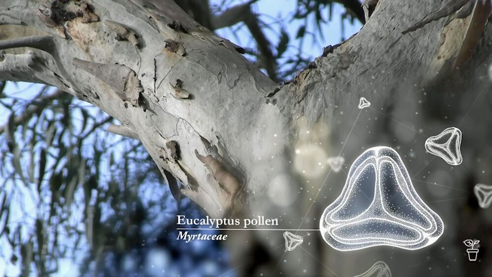 My Garden Path | Professor Michael-Shawn Fletcher - Gardening Australia