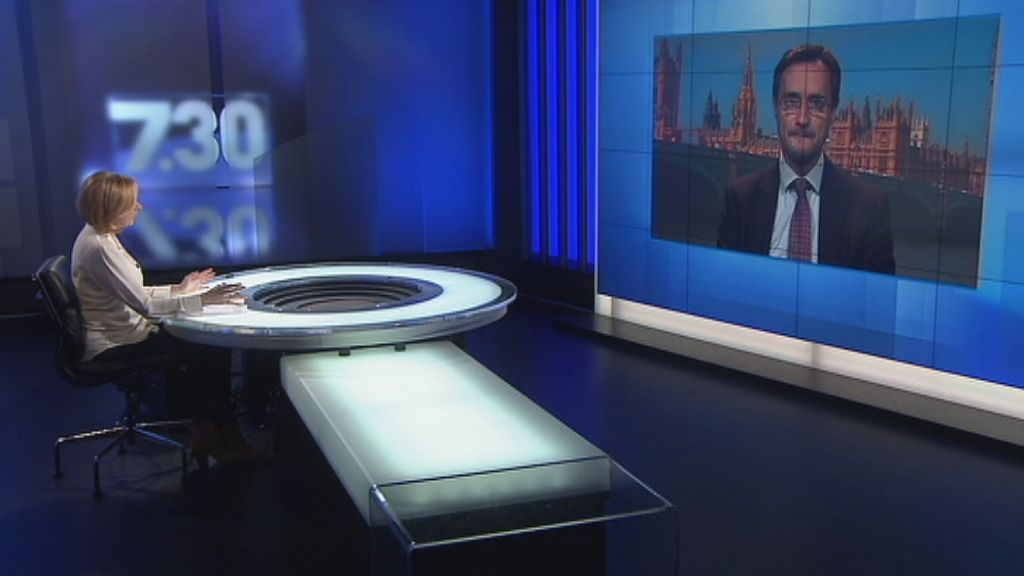 Interview: Dr Robin Niblett - ABC News