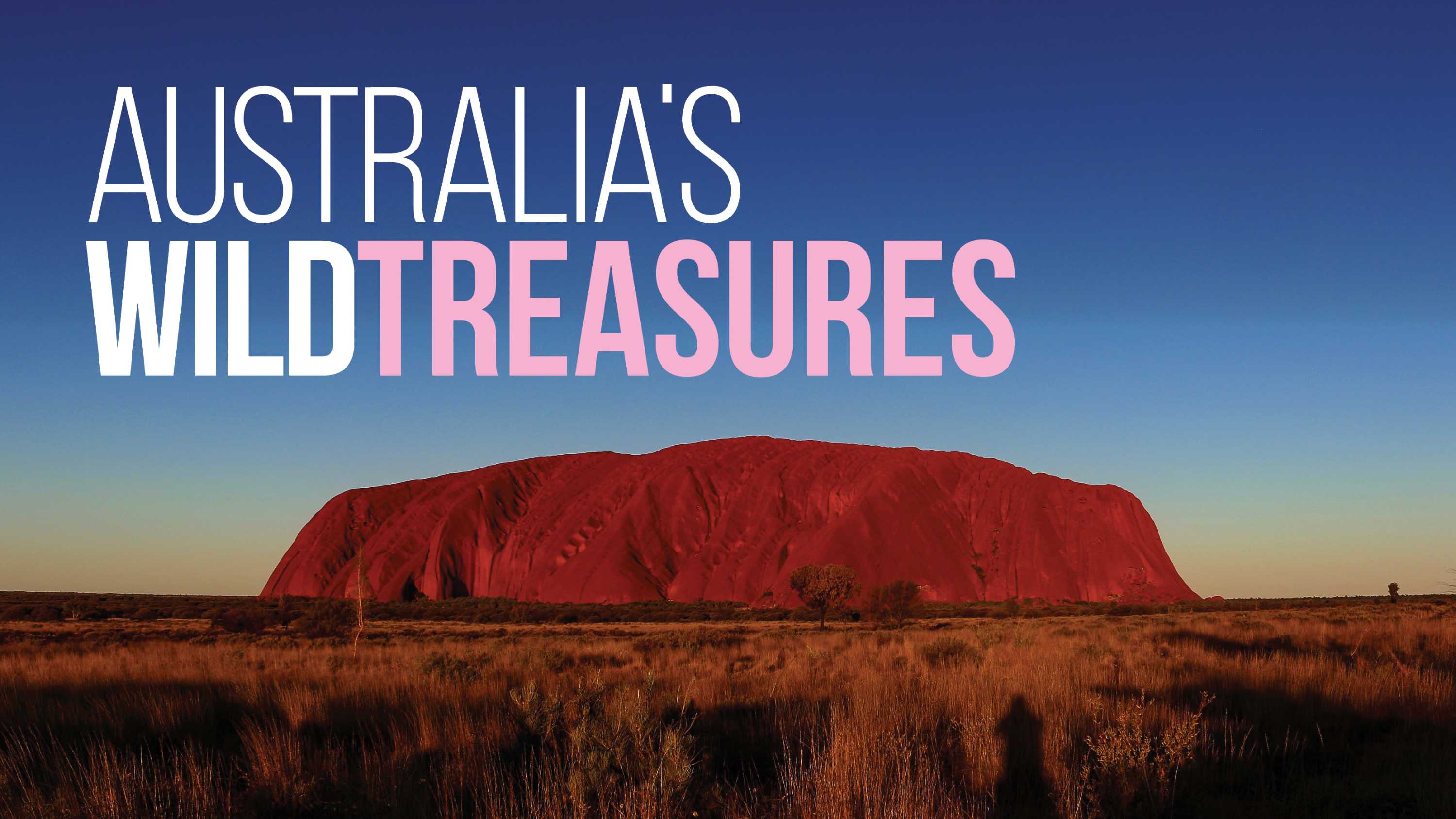Australia's Wild Treasures - ABC Content Sales