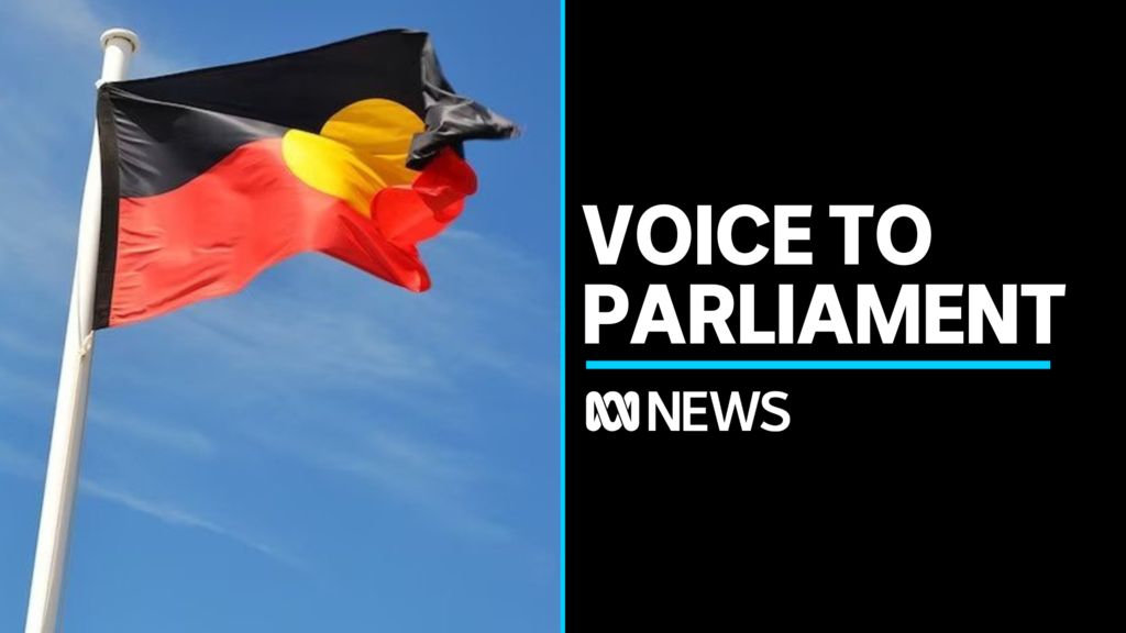 Why are NT and ACT referendum votes different to elsewhere? - ABC News