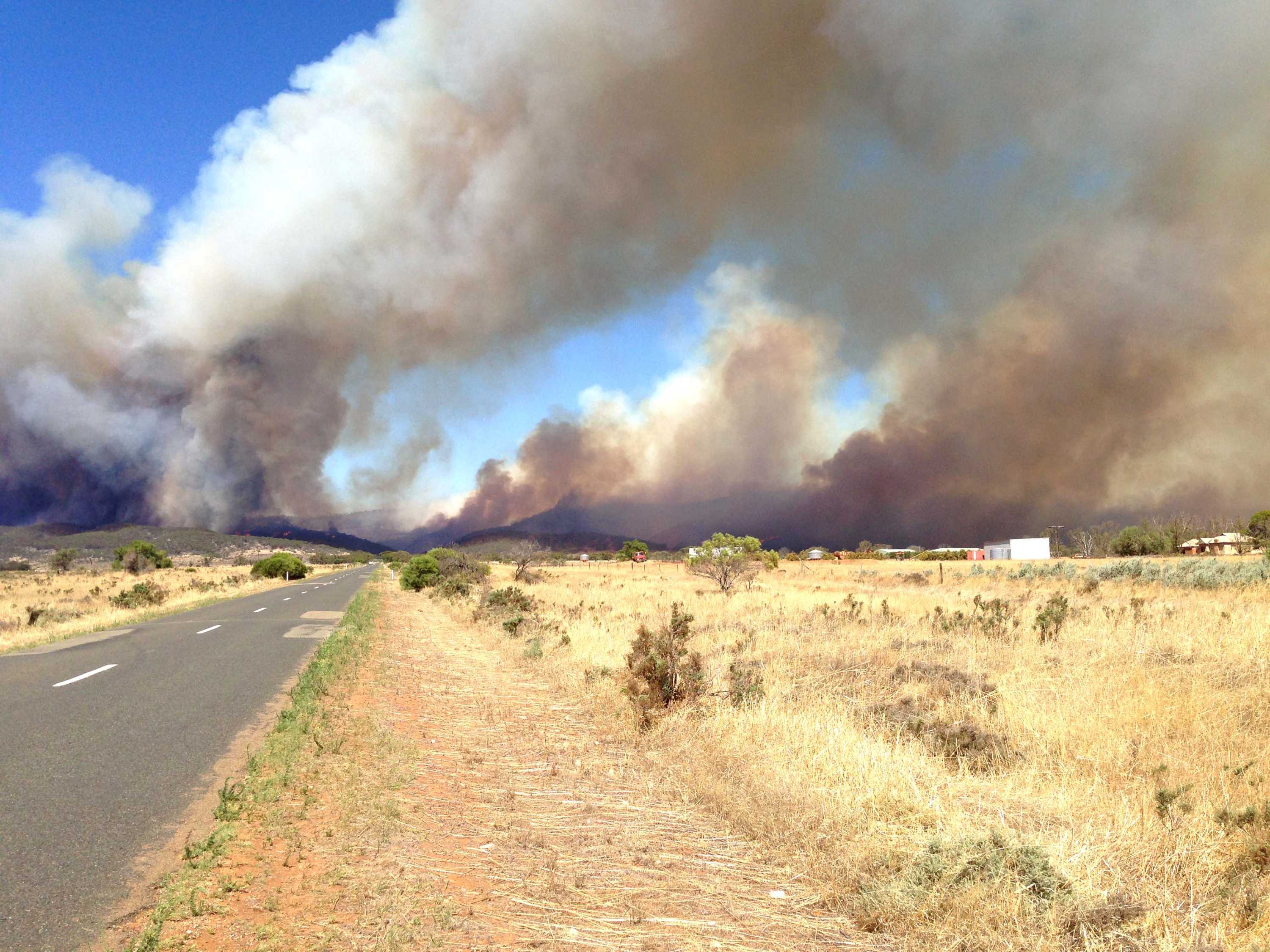 Fire danger season brought forward in more SA districts as vegetation ...