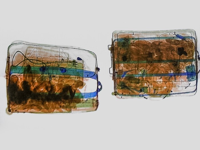 The parrot smugglers - ABC listen