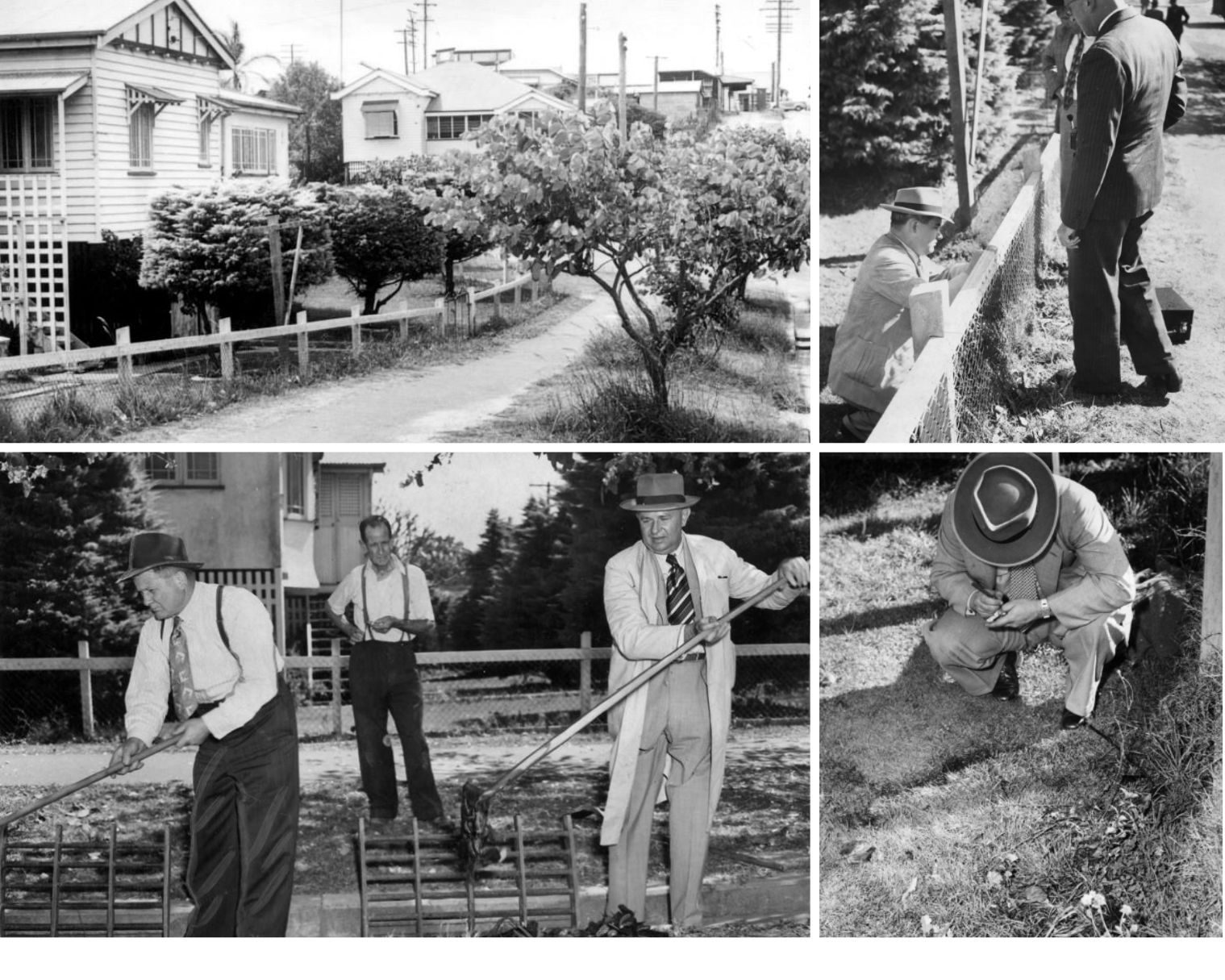 The murder of Betty Shanks has haunted Brisbane for decades. After 72 ...