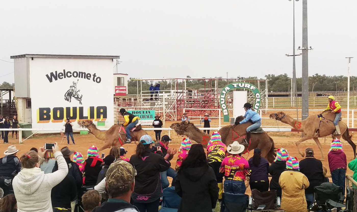 Thousands hump it across the dusty outback to Boulia camel races - ABC News