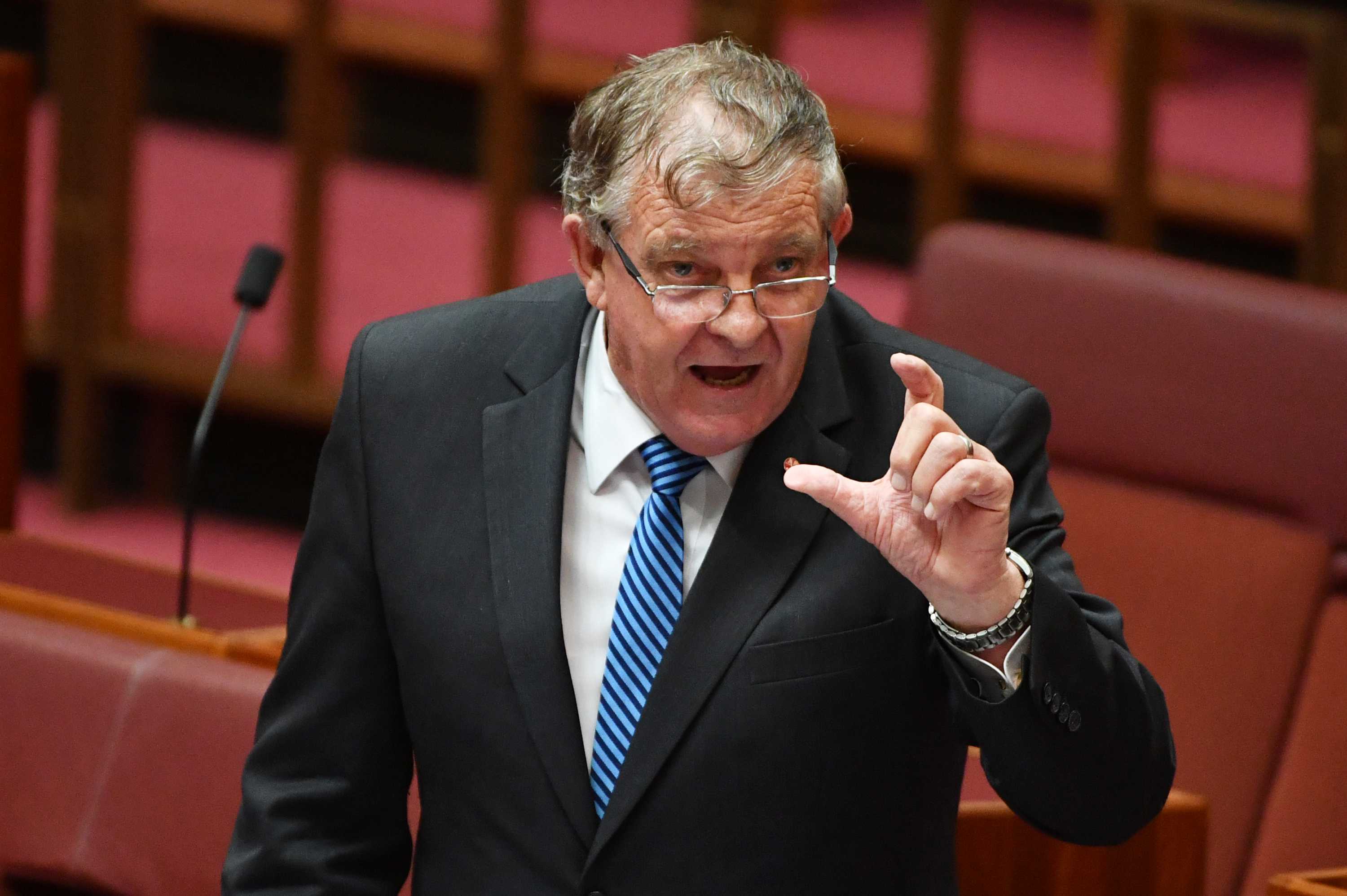 Coalition backbenchers 'very keen' to fight for Racial Discrimination ...