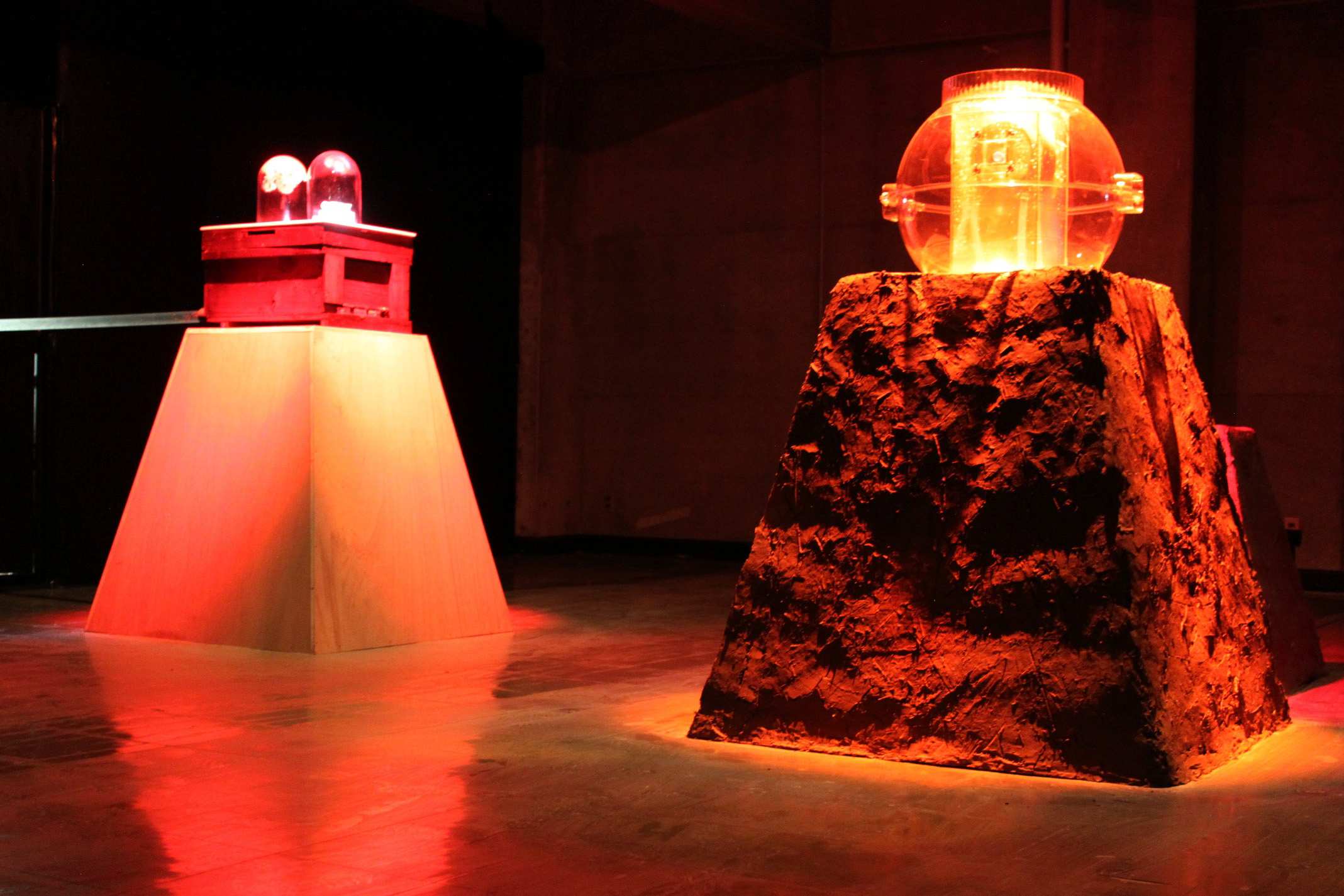 Art and science blurred in exploration of human relationships with ...