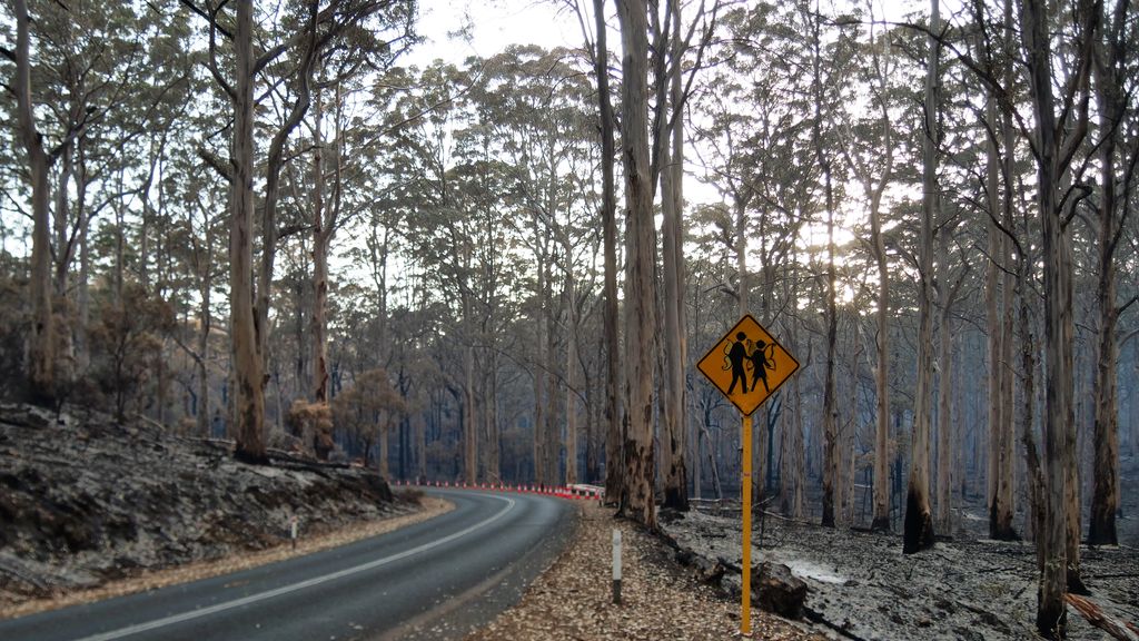 Kodak Corner damaged by fire - ABC News