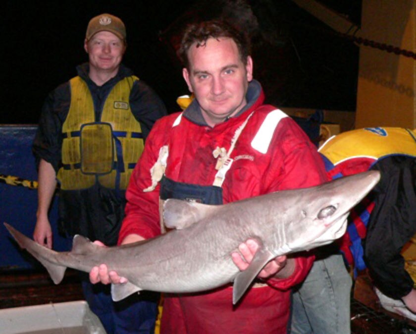 Scientists find rare shark - ABC News