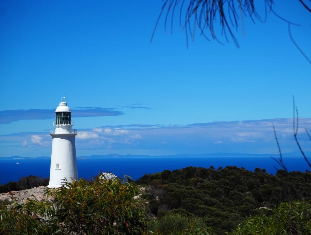 Before coronavirus came, this couple had already chosen isolation on ...