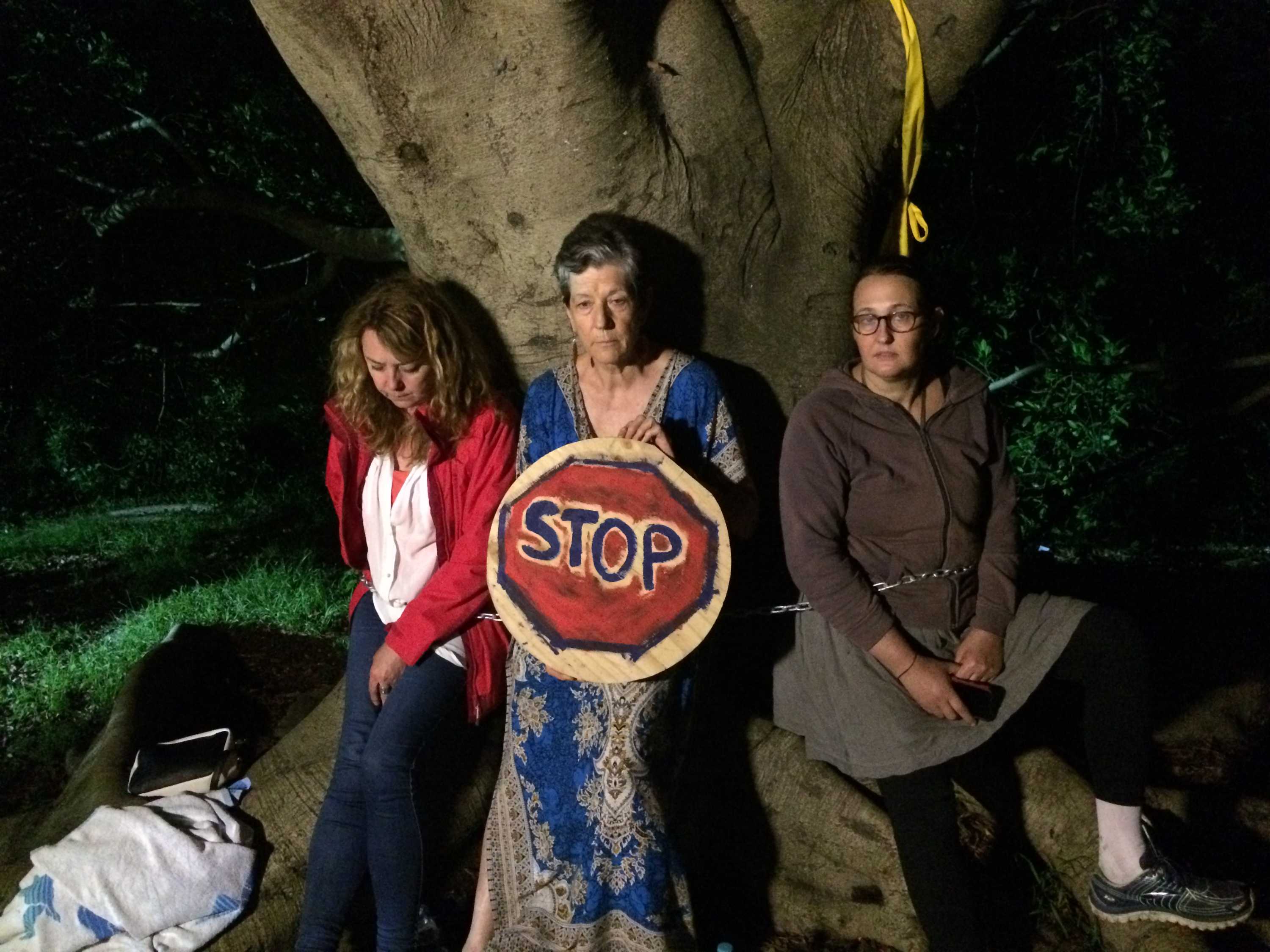 Sydney light rail protesters chain themselves to Randwick trees in ...