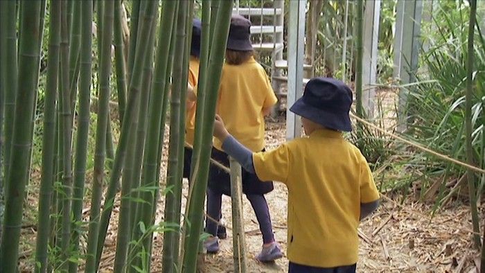 Playful Planting - Gardening Australia