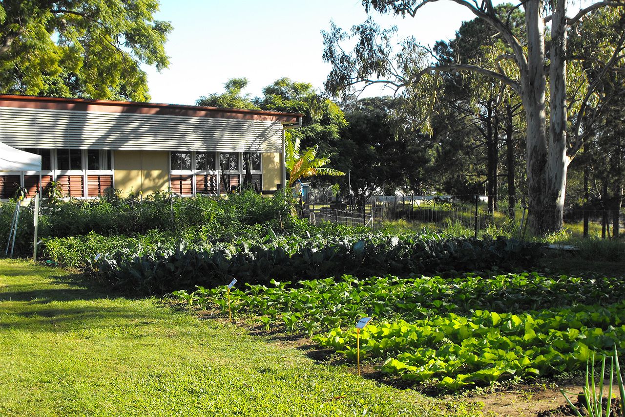 Agriculture to be a mandatory unit in New South Wales high schools ...