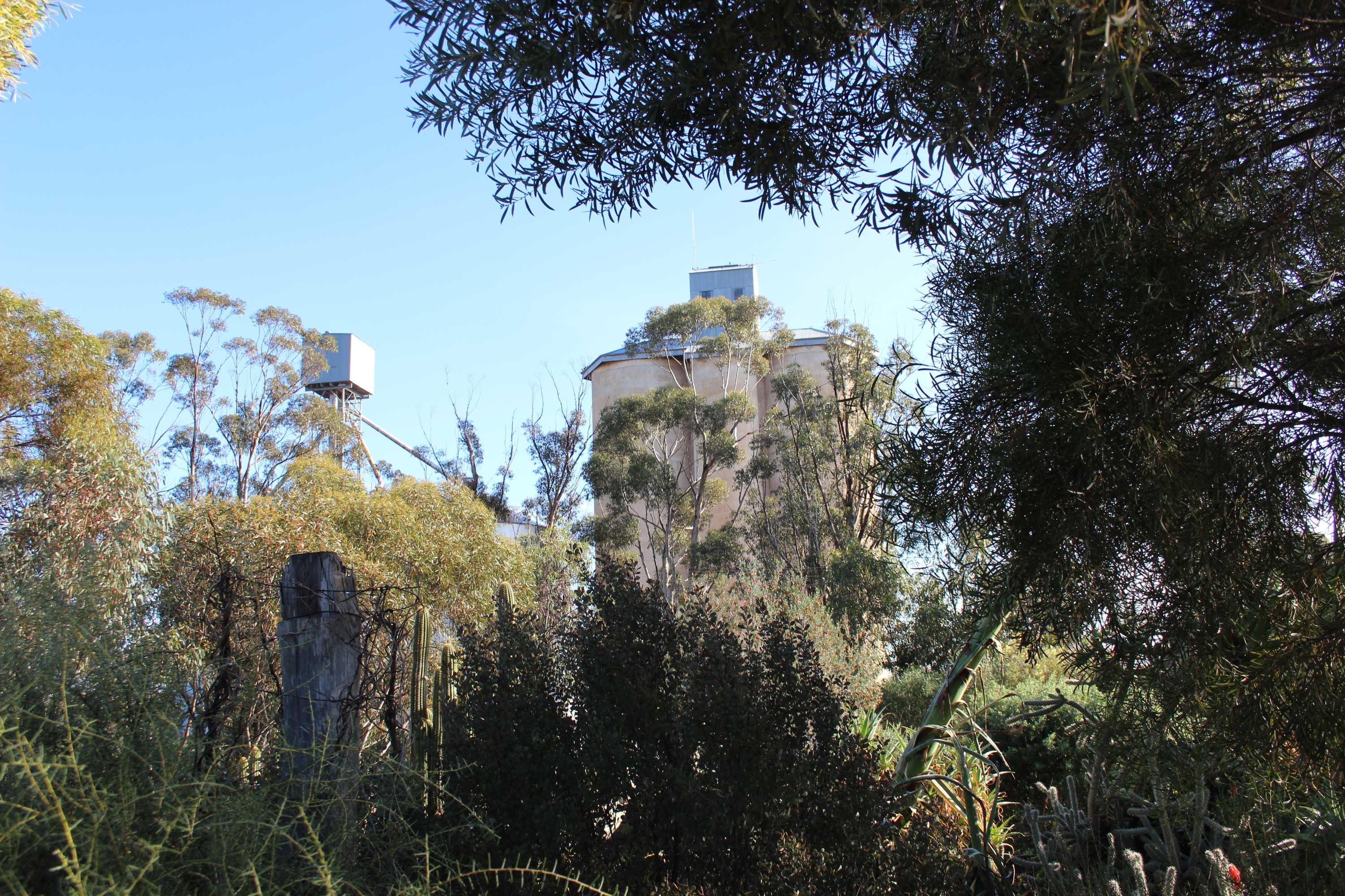 Walpeup Dryland Memorial Garden - ABC Radio National
