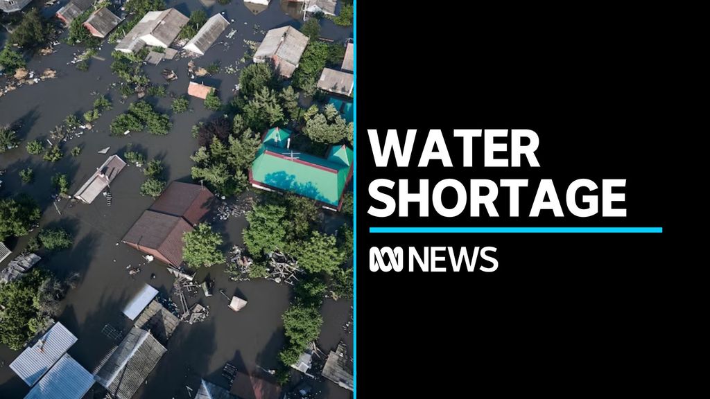 Footage shows the python swallowing a wallaby in far north Queensland ...