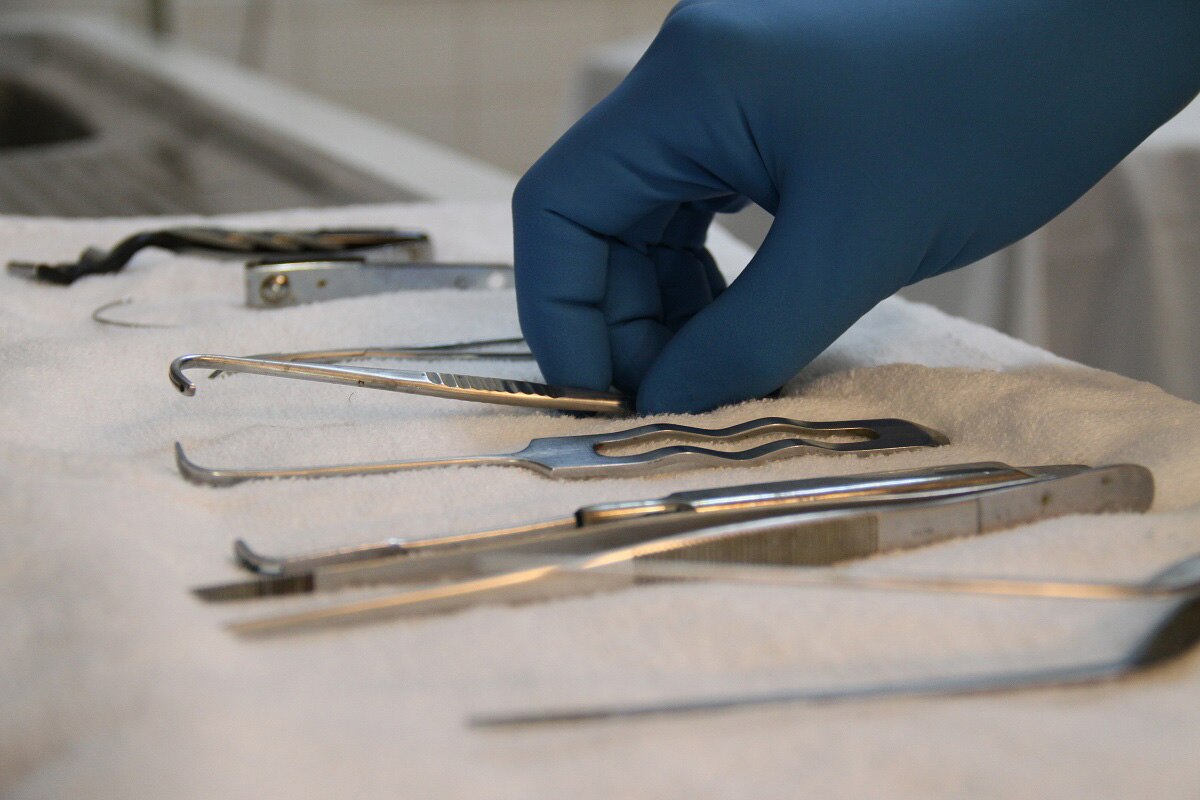 Death and grief part of the job that can be really rewarding, say young ...