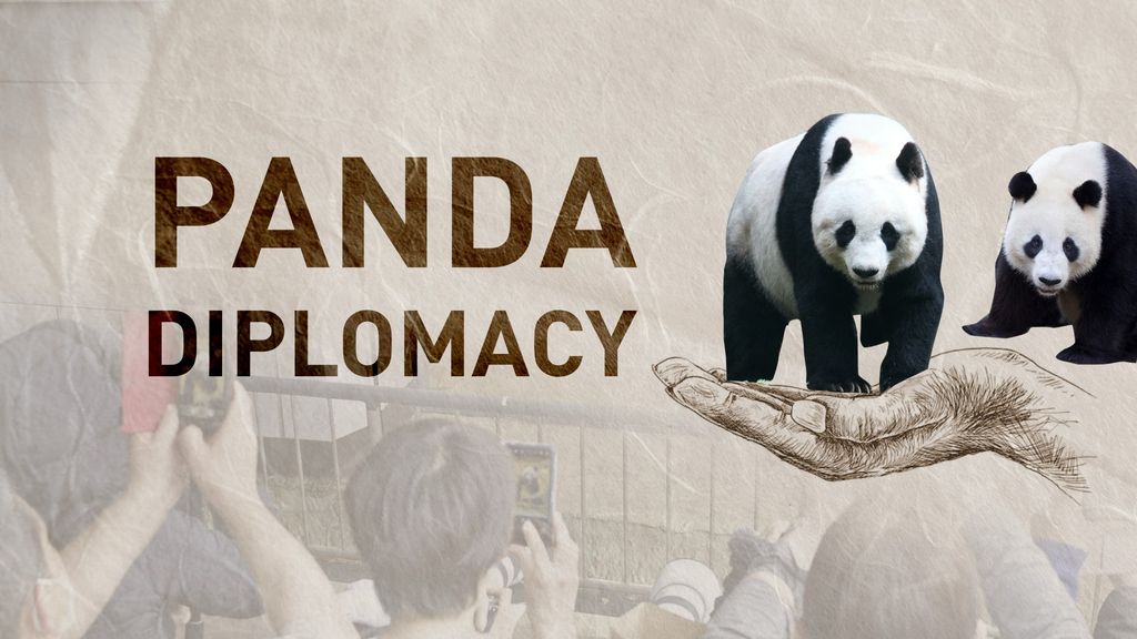 The history of panda diplomacy - ABC News